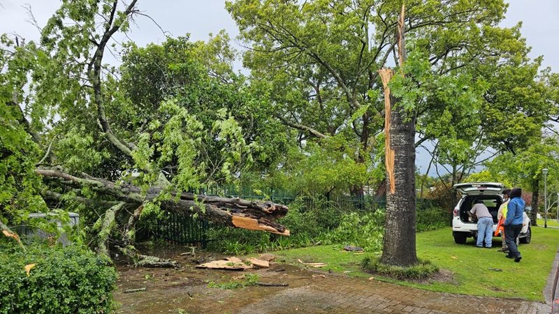 Stormy weather conditions lead to damage | George Herald