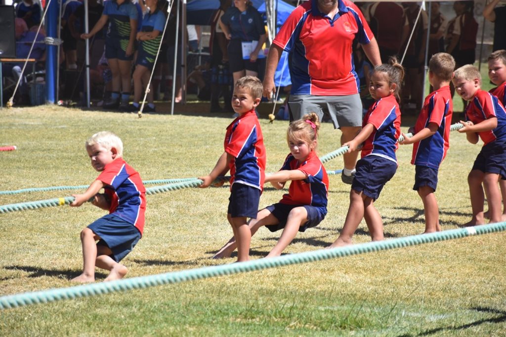 Laerskool Wesbank bied eerste toutrek-geleentheid aan | George Herald