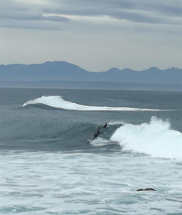 For the love of the ocean | Mossel Bay Advertiser