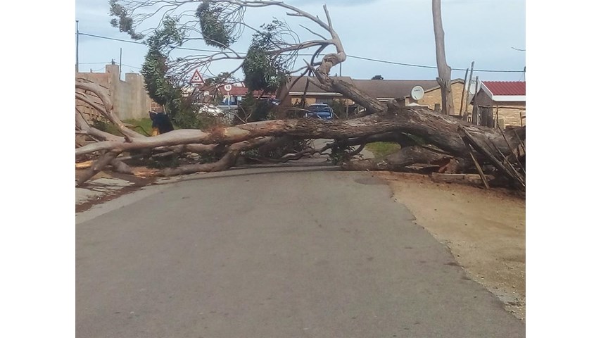 National disaster declared | George Herald