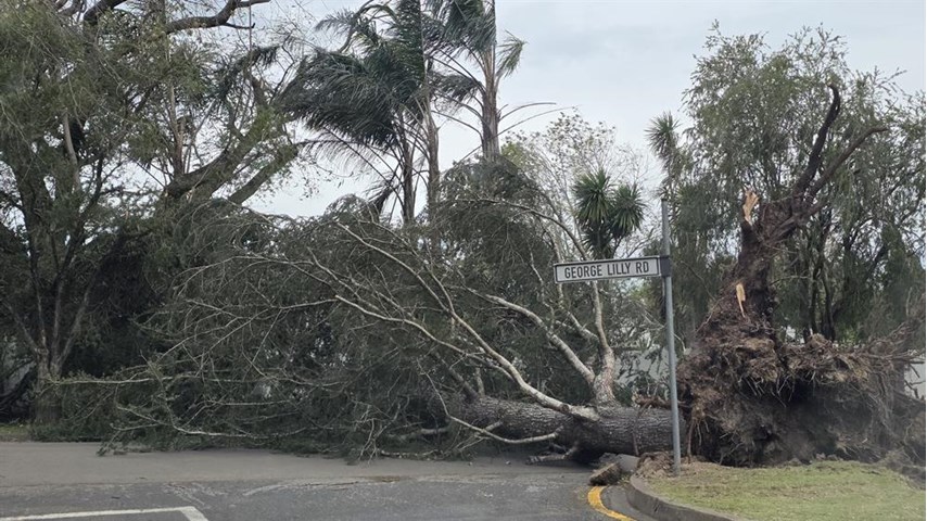 National disaster declared | George Herald
