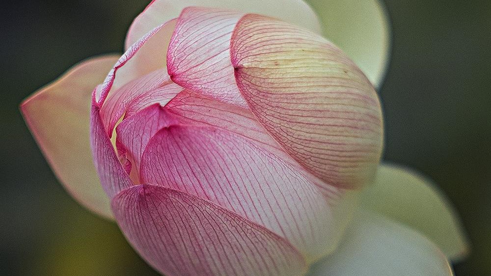 George Camera club meets twice a month | George Herald