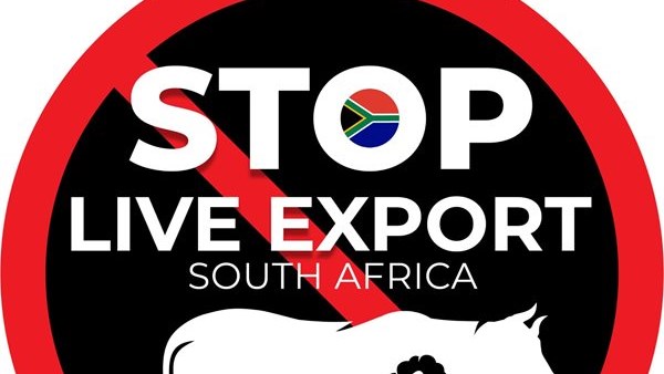 Stop live export South Africa and Compassion in World Farming Urges ...