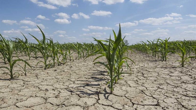 R82.5 million approved for drought relief | Mossel Bay Advertiser