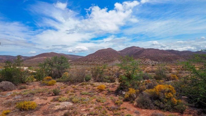 Get to know the Karoo and its people | George Herald