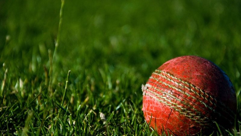 Parnell, Stubbs, Rossouw in Proteas T20 World Cup squad; Bavuma to lead ...
