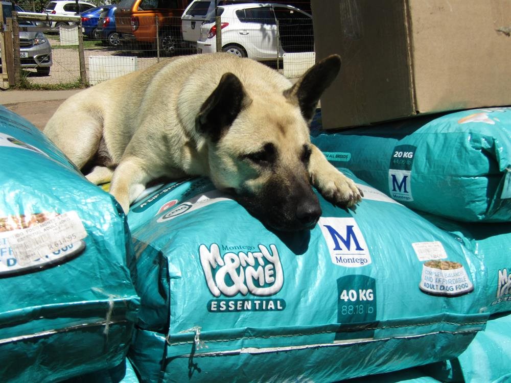 Meer as 'n ton kos vir diere | George Herald