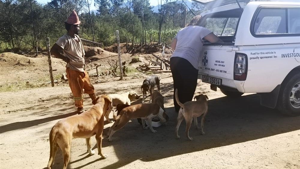 Honger kinders eet hondebeskuitjies | George Herald
