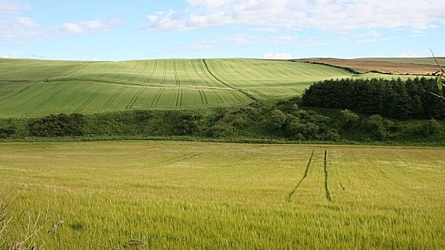 Stats SA releases Census of Commercial Agriculture 2017 report | Knysna ...