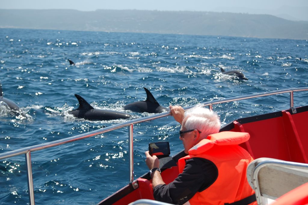 Ocean Blue Adventures | Knysna-Plett Herald