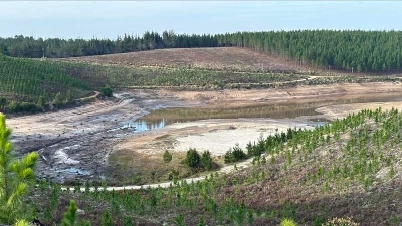 Knysna supply dam running dry | Knysna-Plett Herald