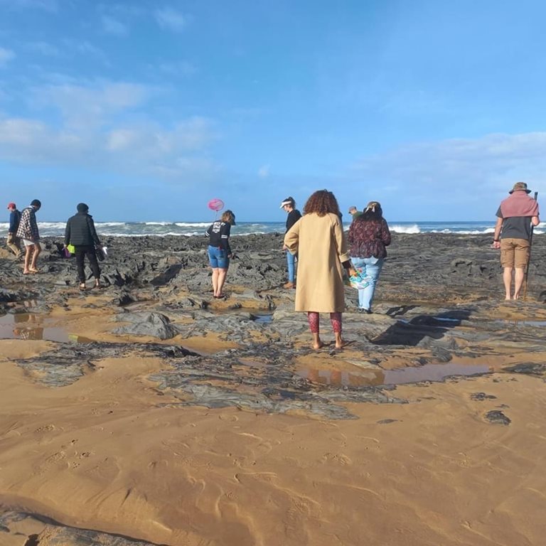 Marine conservation in the spotlight at Plett Ocean Festival | Knysna ...