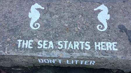 Multiple interventions to protect estuary health | Knysna-Plett Herald