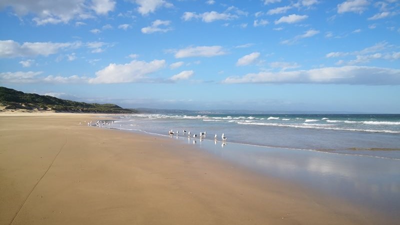 Help om Hartenbos se strand skoon te maak | Mossel Bay Advertiser