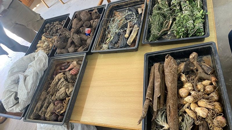 Operation to protect flora, fauna | Mossel Bay Advertiser