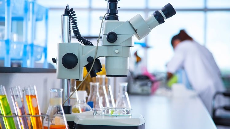 Virtual medical lab to transform healthcare in Africa | Knysna-Plett Herald