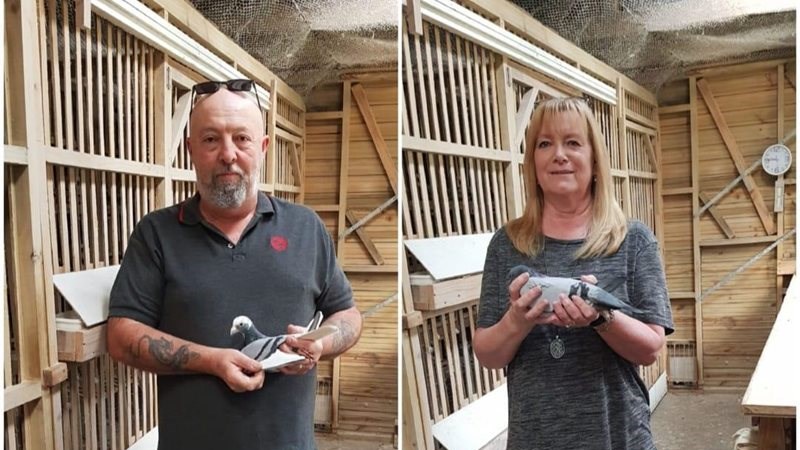 Janet's bird takes the honours | Mossel Bay Advertiser