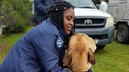 Severely neglected dogs rescued | Mossel Bay Advertiser