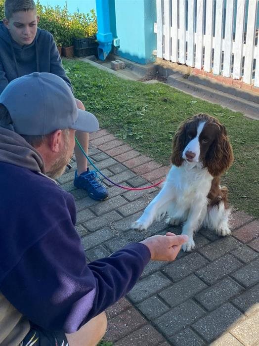 Steven Montgomery, dog whisperer | Mossel Bay Advertiser