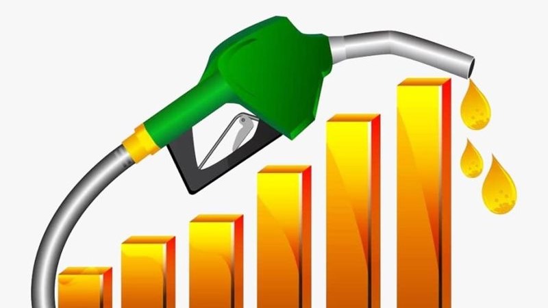 Fuel price shocks ahead – AA | George Herald