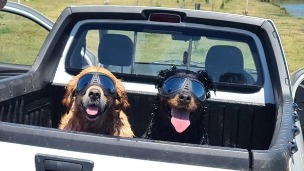 Brakke, brille en bakkies op Groot Brak | Mossel Bay Advertiser