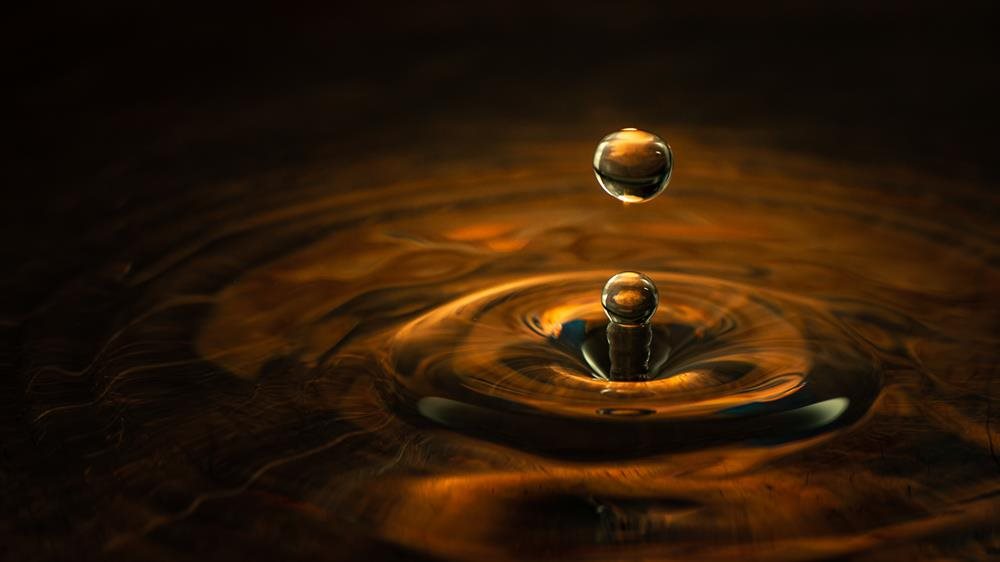 George Camera Club winners | George Herald