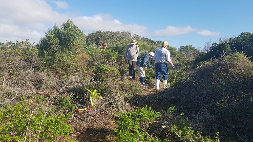 Stilbaai uitkapsessie van indringerplante | Suid-Kaap Forum