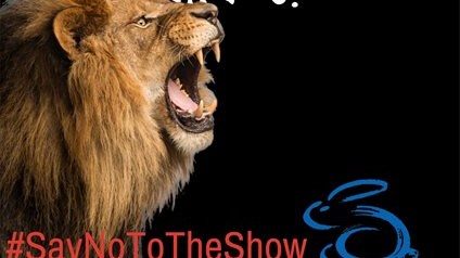 Choose animal free circuses | George Herald