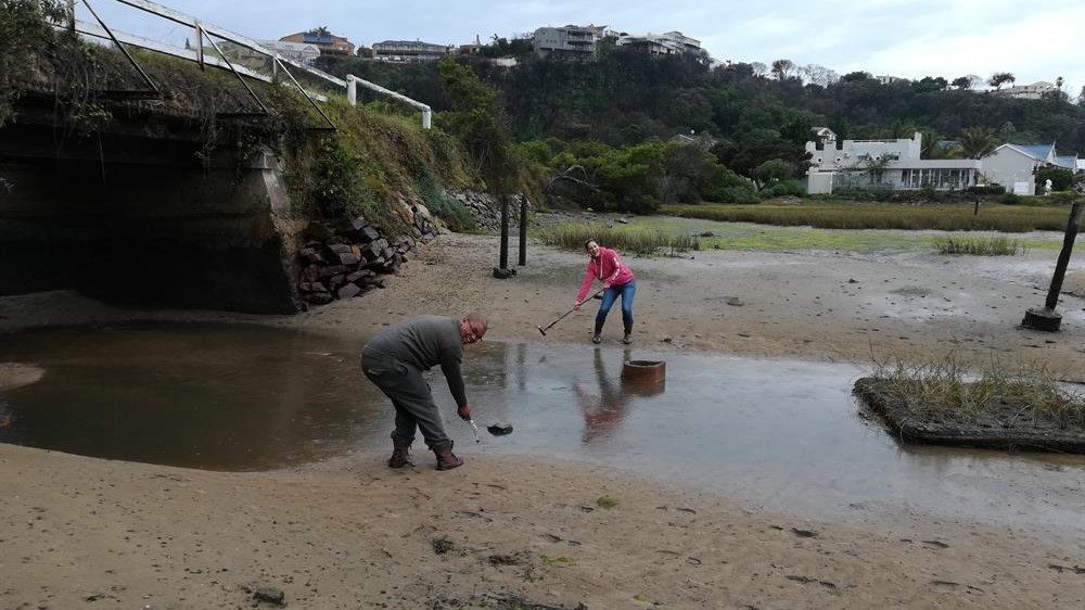 Estuary water quality project forges ahead | Knysna-Plett Herald