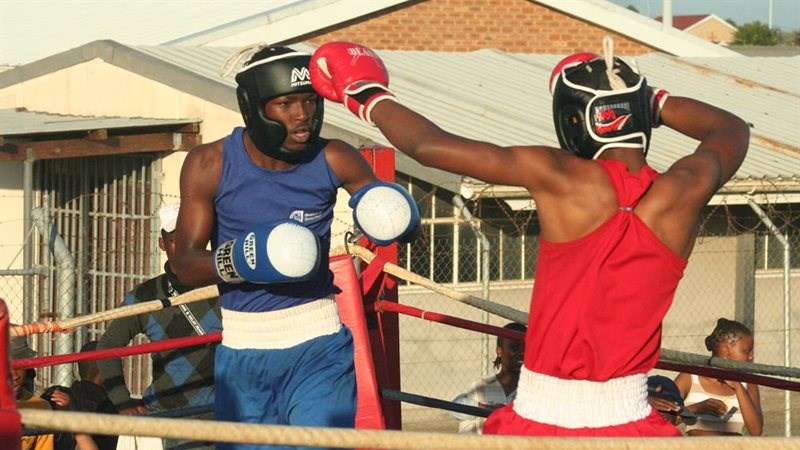 George to host Easter boxing festival | George Herald