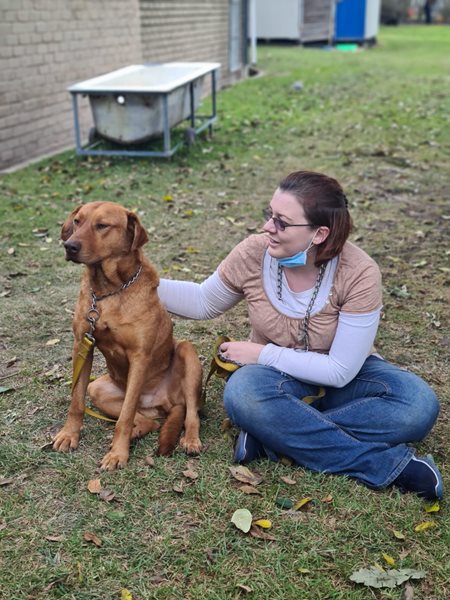 Become an SPCA volunteer | George Herald
