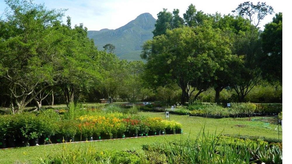 Garden Route Botanical Garden turns 25 | George Herald