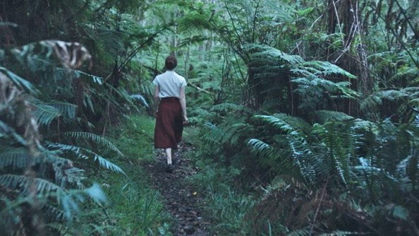 Silwerskermfees: 'Toorbos' gekies as sluitingsfilm | Knysna-Plett Herald