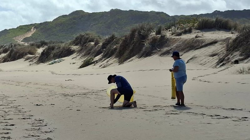 Over 70kg waste collected at beach clean-up | Mossel Bay Advertiser