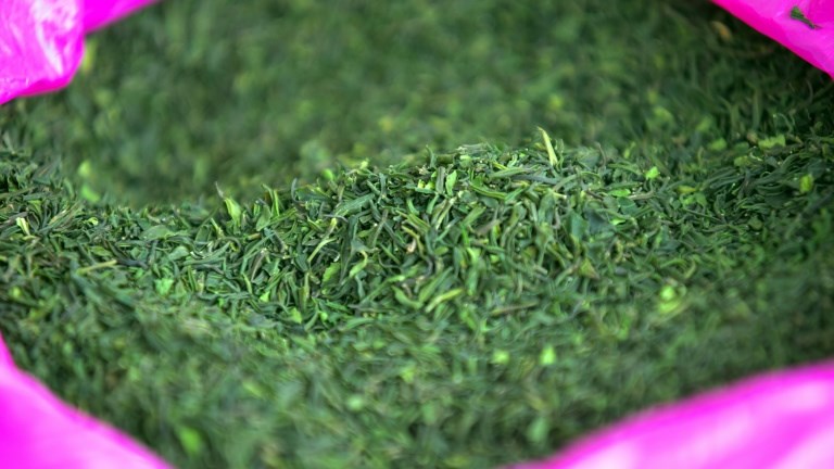 In Ethiopia, a rehab centre takes on khat addiction | Mossel Bay Advertiser