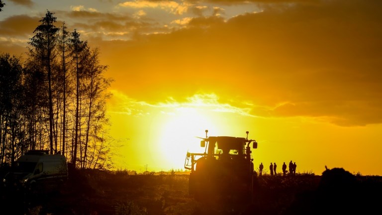 German court blocks RWE from razing forest | George Herald