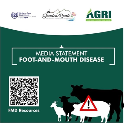 Hartenbos foot-and-mouth disease update - results from 2 more farms ...