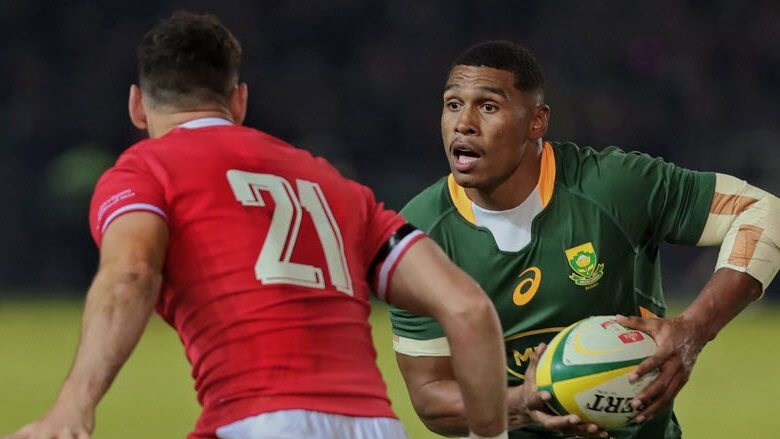 ‘Old school’ Jake White against Boks in Six Nations | Knysna-Plett Herald