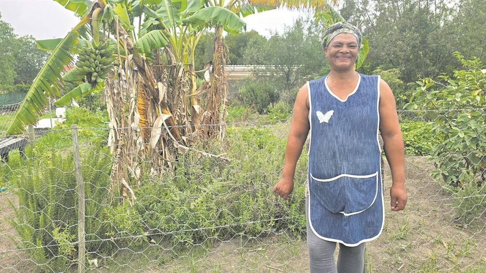 Annie Solomons: The shining light of Wilderness Heights | George Herald