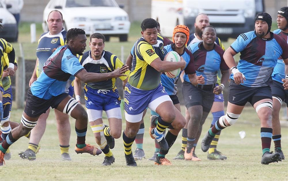 Seagulls loop nou voor | Suid-Kaap Forum