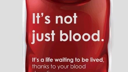 Blood stocks critically low | George Herald