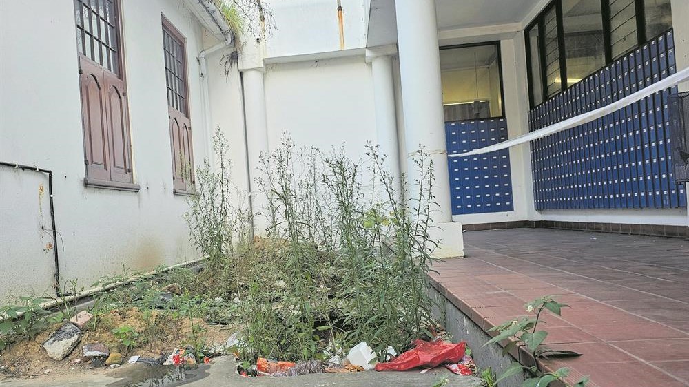 George Post Office neglected but operational | George Herald