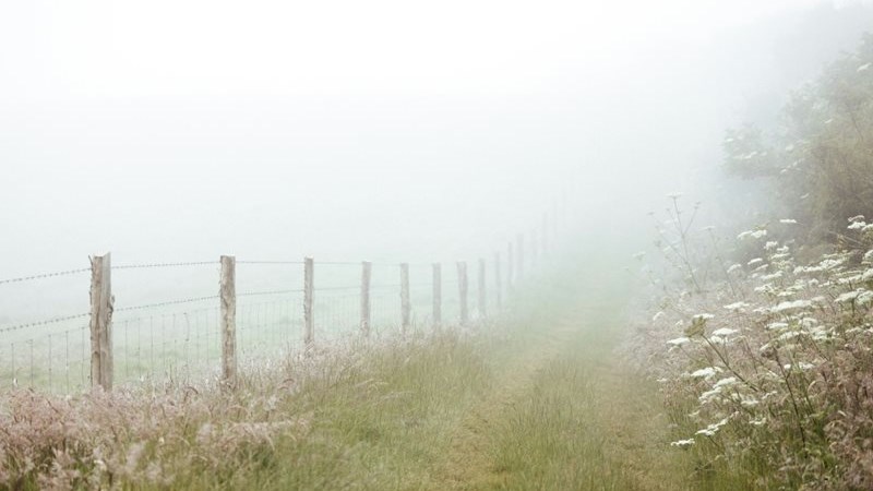 Weather: Strong wind with light rain on Tuesday | George Herald