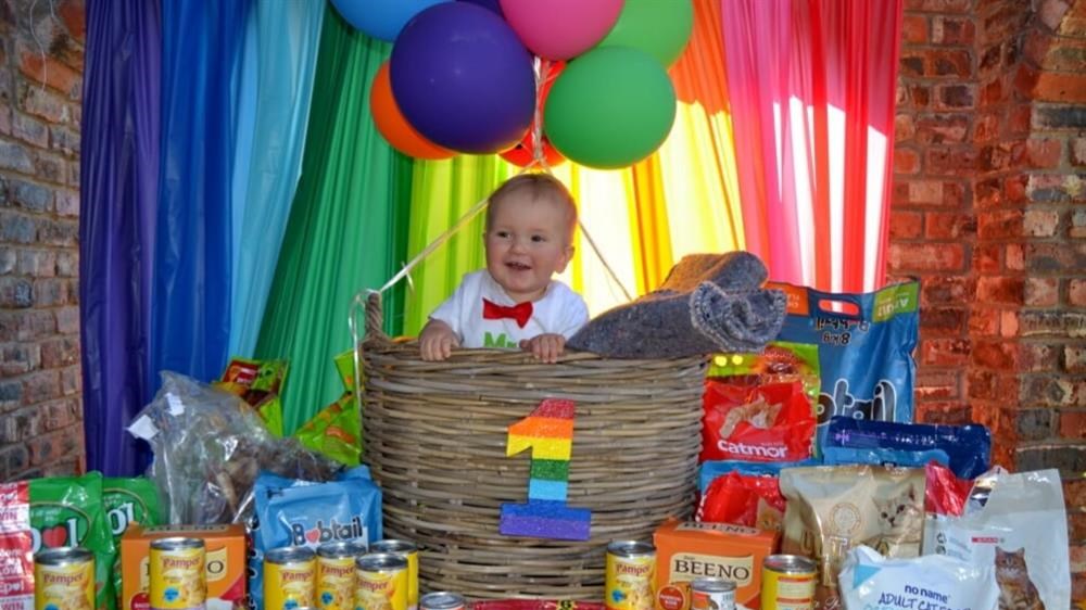 Eenjarige gee terug aan DBV-diere | Mossel Bay Advertiser