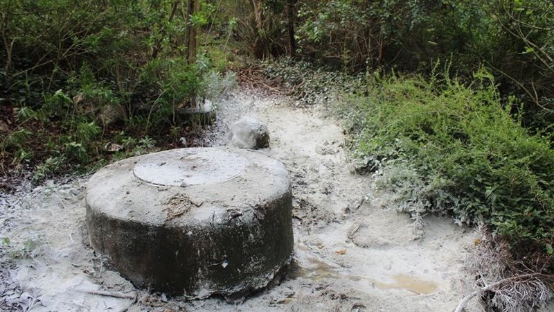 Roots the root of manhole woes | George Herald