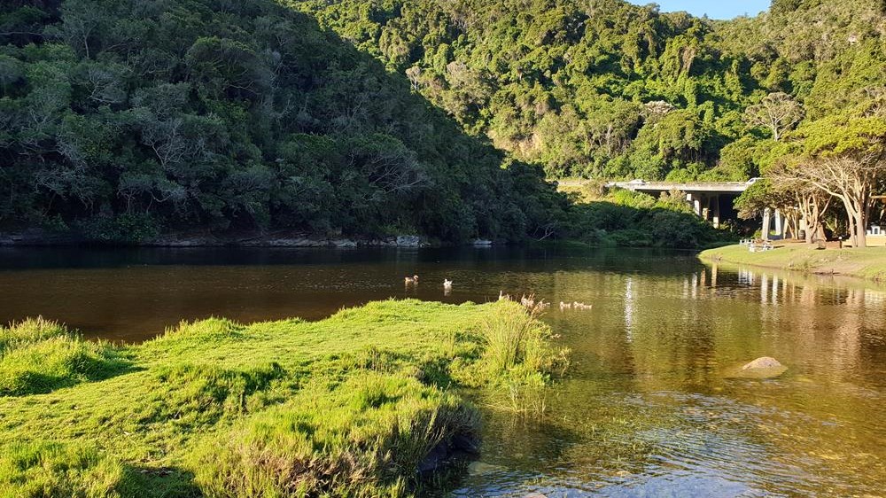 Water and the economy of the Garden Route | Knysna-Plett Herald