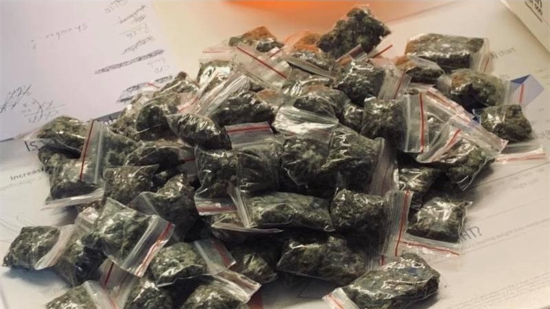 Joint operation leads to recovering of dagga | George Herald