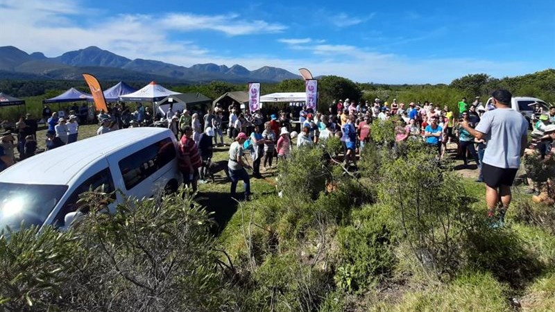 The Cat Walk a huge success | George Herald