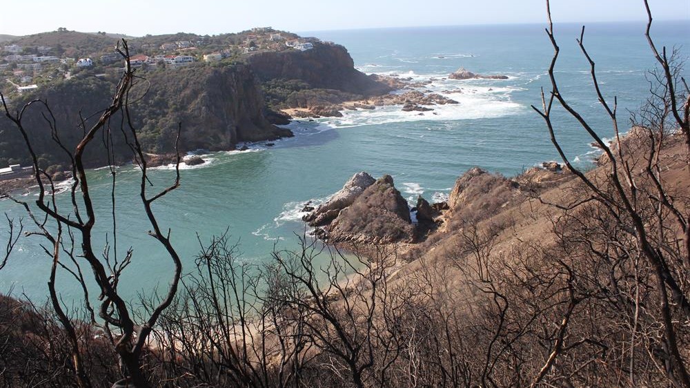Rivers are the key to conservation | Knysna-Plett Herald