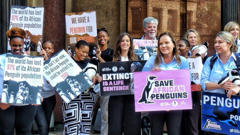 High Court victory for the critically endangered African Penguin ...
